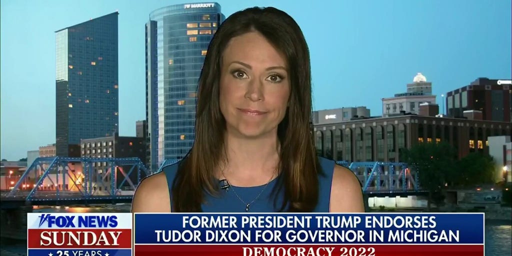 Michigan GOP gubernatorial frontrunner labels Gov. Whitmer as ...