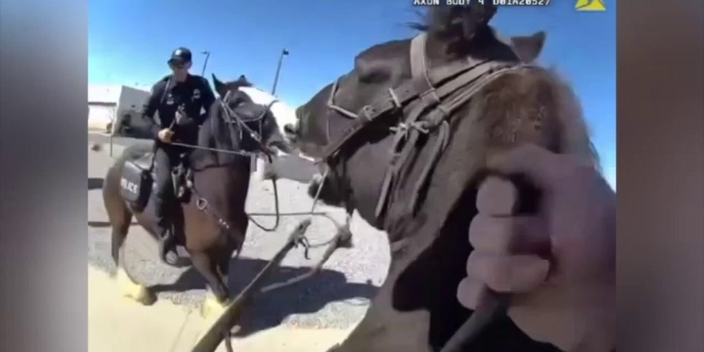 WATCH: New Mexico police chase suspected shoplifter on horseback | Fox ...