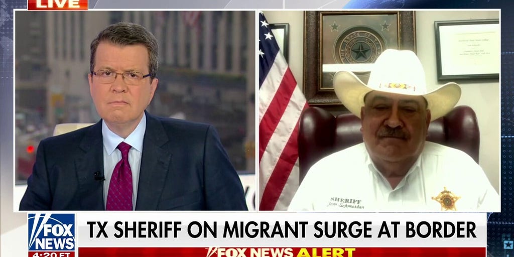 Texas sheriff on border security: 'This wave is going up there in the ...