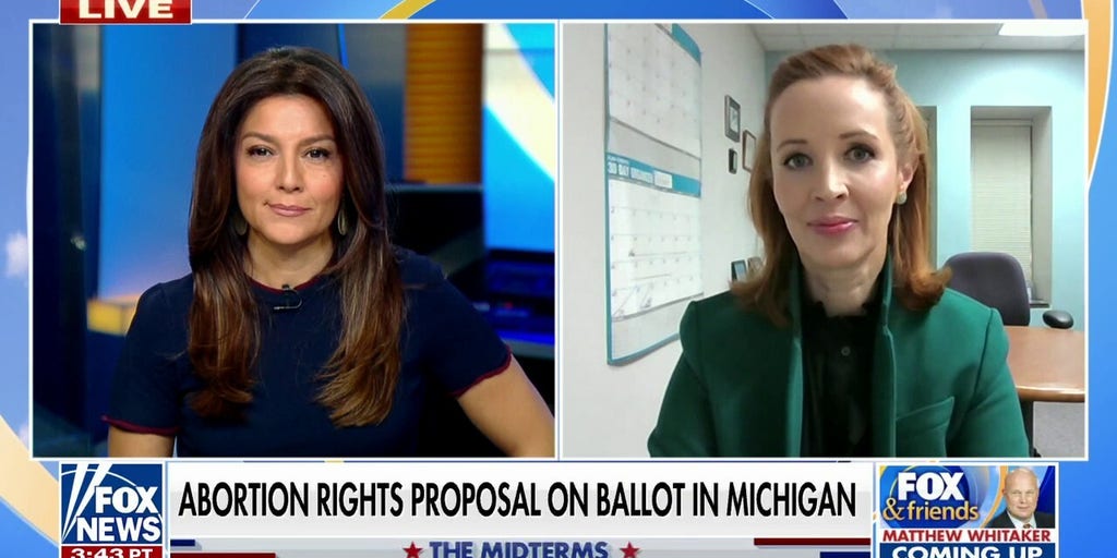 Michigan’s abortion rights proposal is a ‘trojan horse’ to ‘target ...