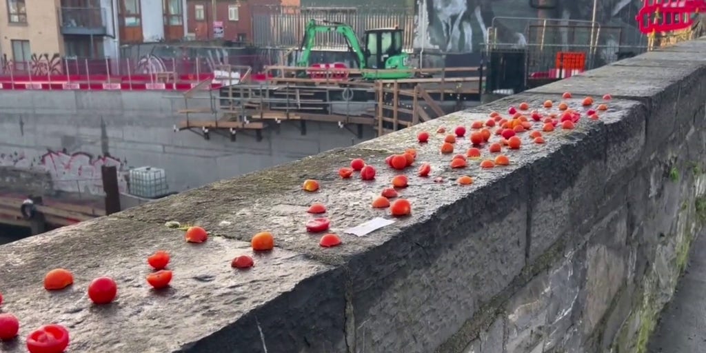 Frozen cherry tomatoes on bridge a hot new attraction | Fox News Video
