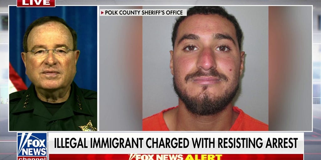 Sheriff blasts illegal migrant for smiling in arrest photo | Fox News Video