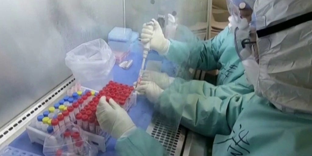 Questions linger over US-funded coronavirus research at Wuhan lab | Fox ...