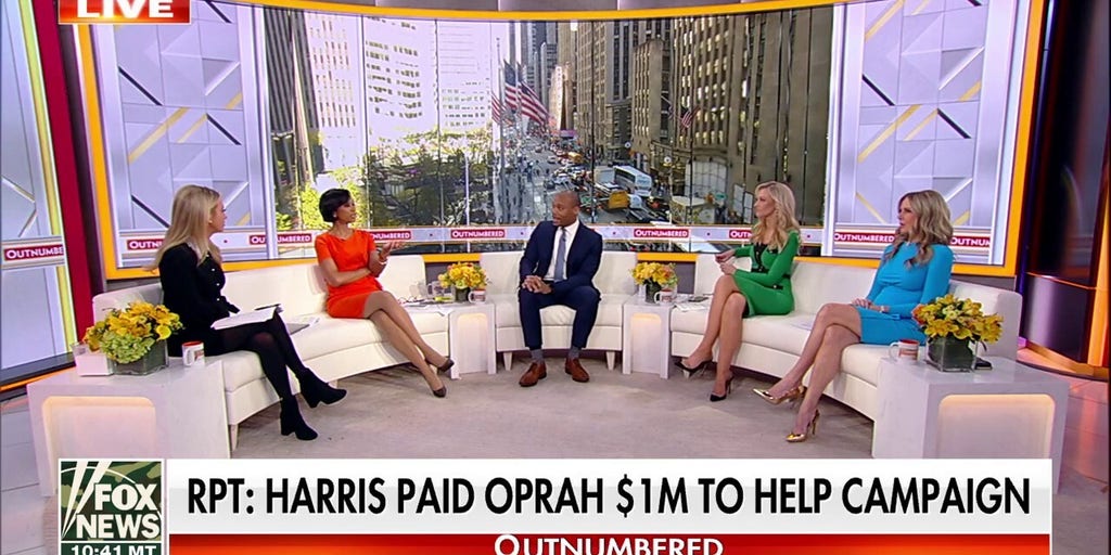 DNC official describes Kamala Harris’ campaign as 'epic disaster' amid ...