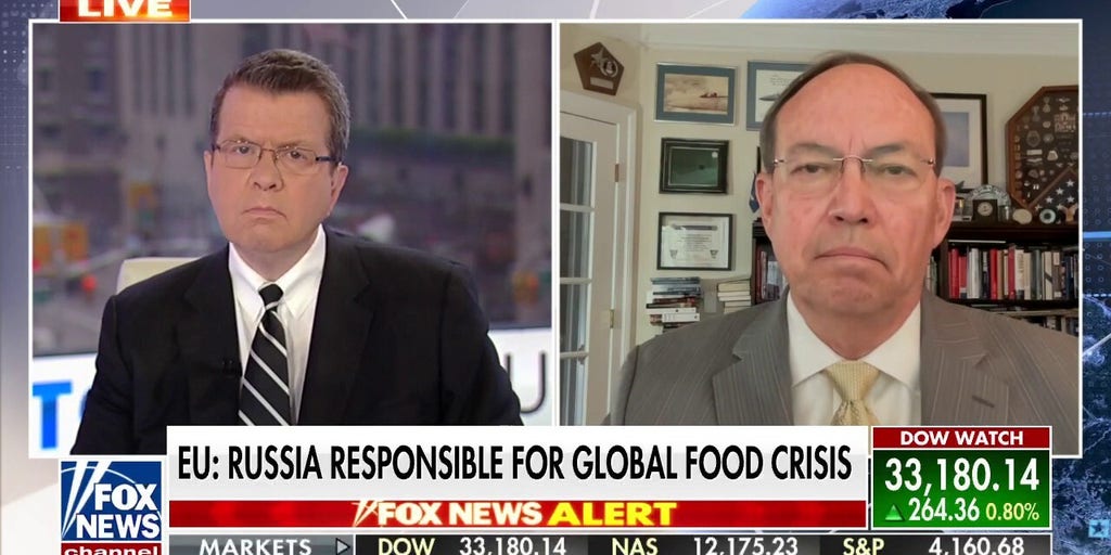 Is Russia weaponizing food? | Fox News Video