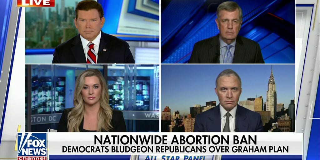 Democrats' and Republicans' competing priorities in midterms | Fox News ...