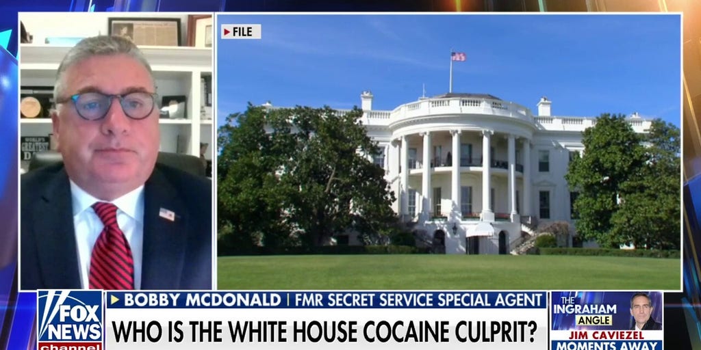 Secret Service likely ‘has a fairly good idea’ of who is involved in WH ...