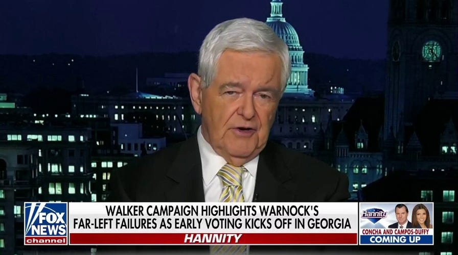 Georgia Breaks Early Voting Record As Walker Warnock Runoff Sees Over