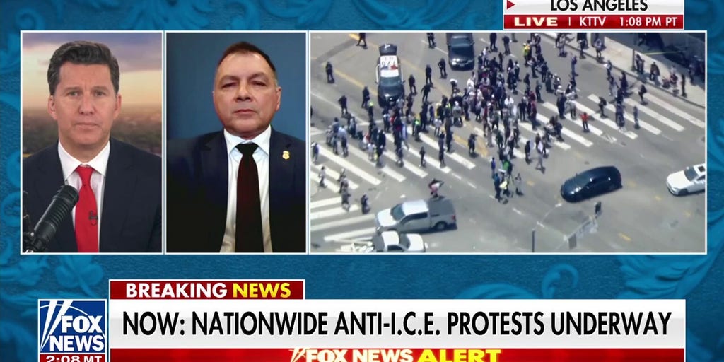 We're enforcing federal immigration laws, says ICE official | Fox News ...