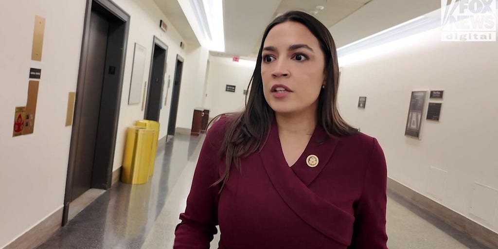 AOC talks about her meeting with Zohran Mamdani, ICE activity in NYC ...