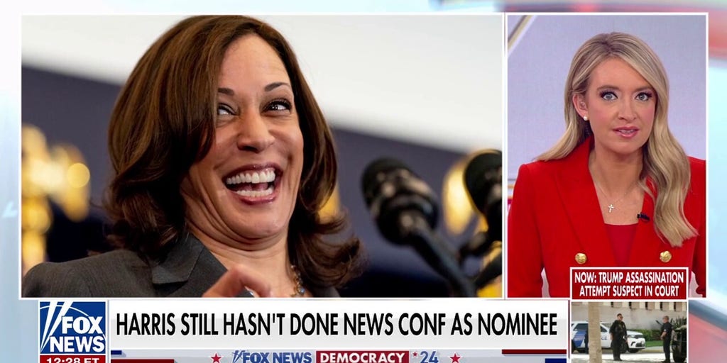 Harris campaign slammed after dismissing concerns about lack of ...