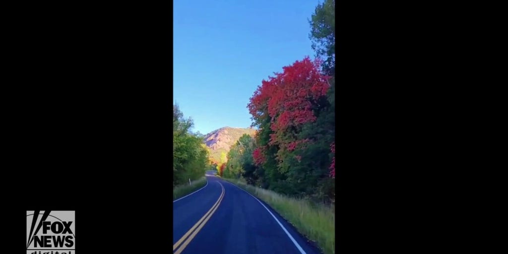 Color me fall! Drone footage captures stunning fall foliage | Fox News ...