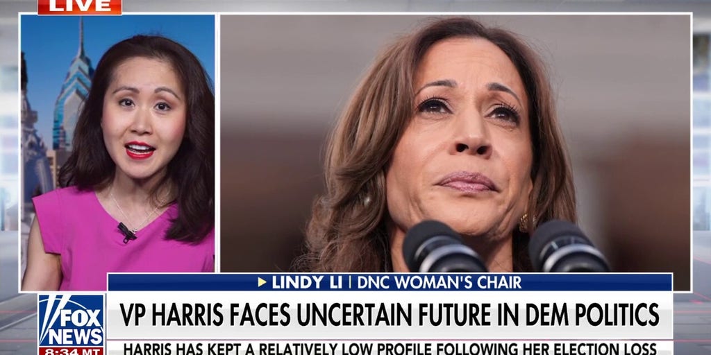 DNC's Lindy Li Critiques Harris After 2024 Defeat | VT News