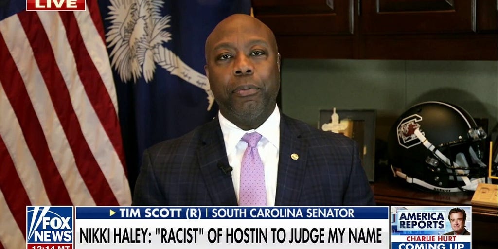 Left wants to ‘demoralize, diminish’ conservative minorities: Sen. Tim Scott | Fox News Video