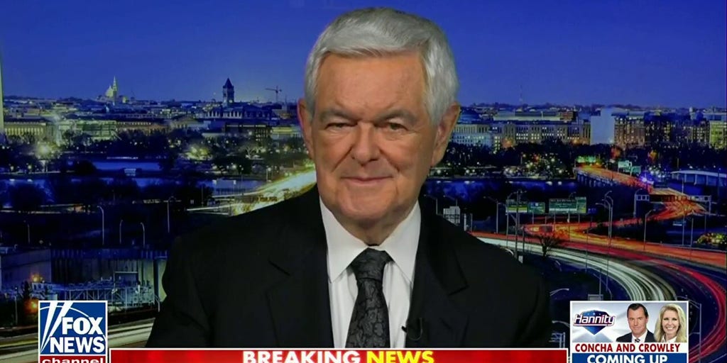 Newt Gingrich These Candidates Have A History Of Reckless Rhetoric