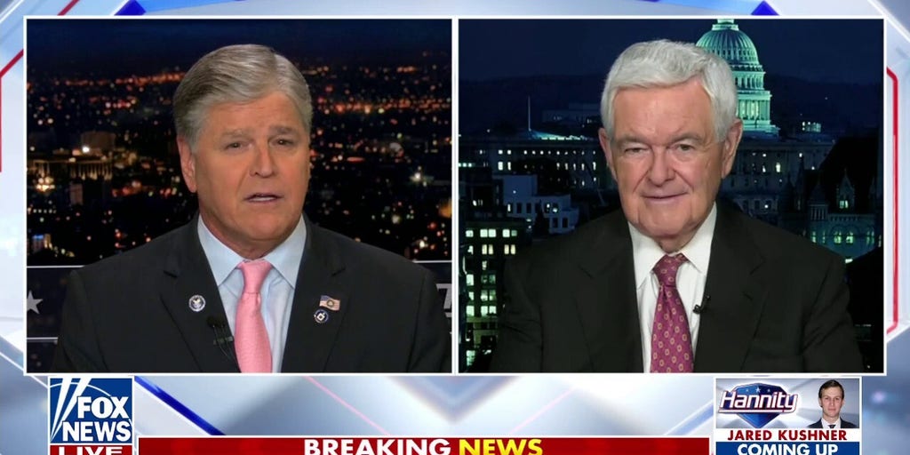 Newt Gingrich: Fetterman is a career politician who hasn't 'done ...