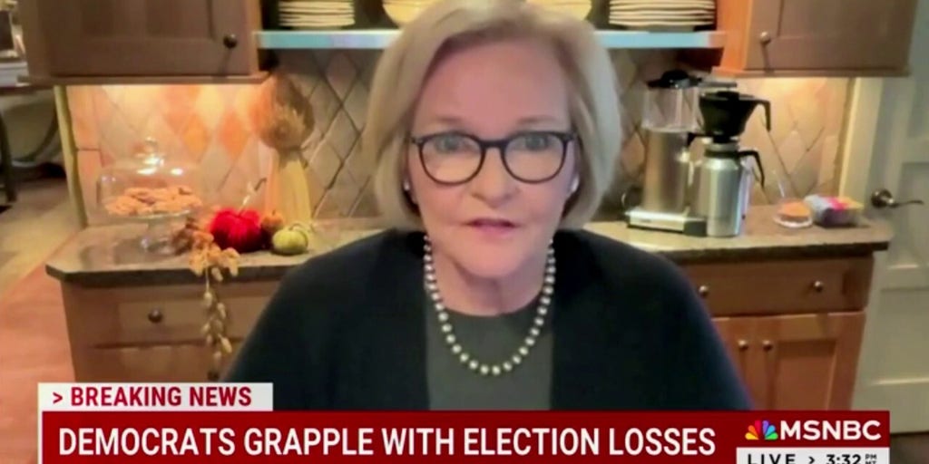 Former Democratic senator says her party has been ' 'hectoring and ...
