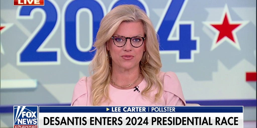 'Failure to launch': DeSantis lost a big opportunity, pollster says ...