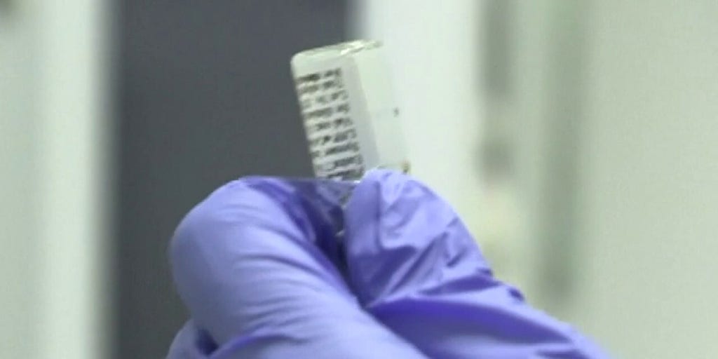 Third coronavirus vaccine candidate reaches final testing phase | Fox ...