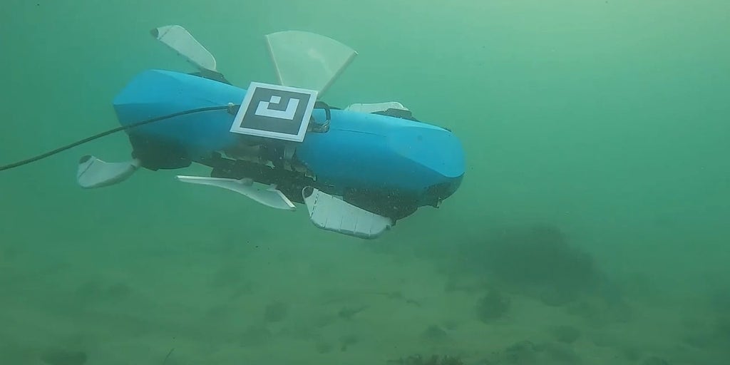 'CyberGuy': This robot can swim, walk, crawl using fins | Fox News Video