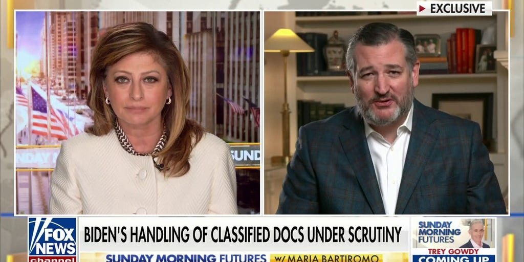 Sen. Ted Cruz: Hunter Biden's email to Burisma business partner infers ...