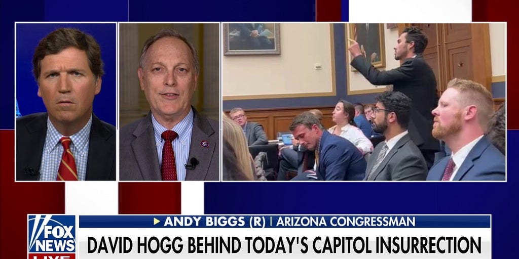 Dems were hoping activist David Hogg would 'stoke the fire' | Fox News ...