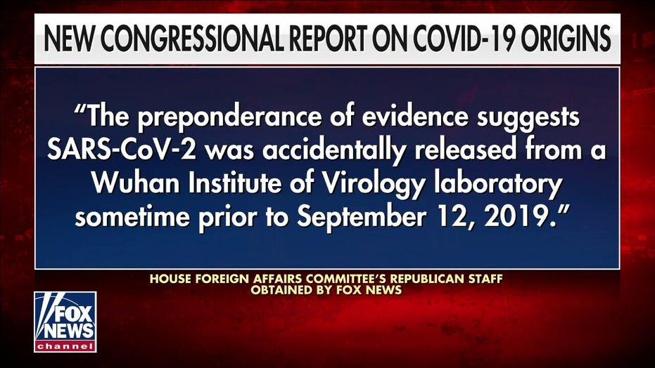 Wuhan lab report raises further questions about possible COVID-19 lab ... Wuhan lab report raises further questions about possible COVID-19 lab ...