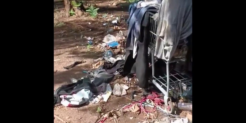 Videographer exposes Austin's failure to address homeless crisis | Fox ...