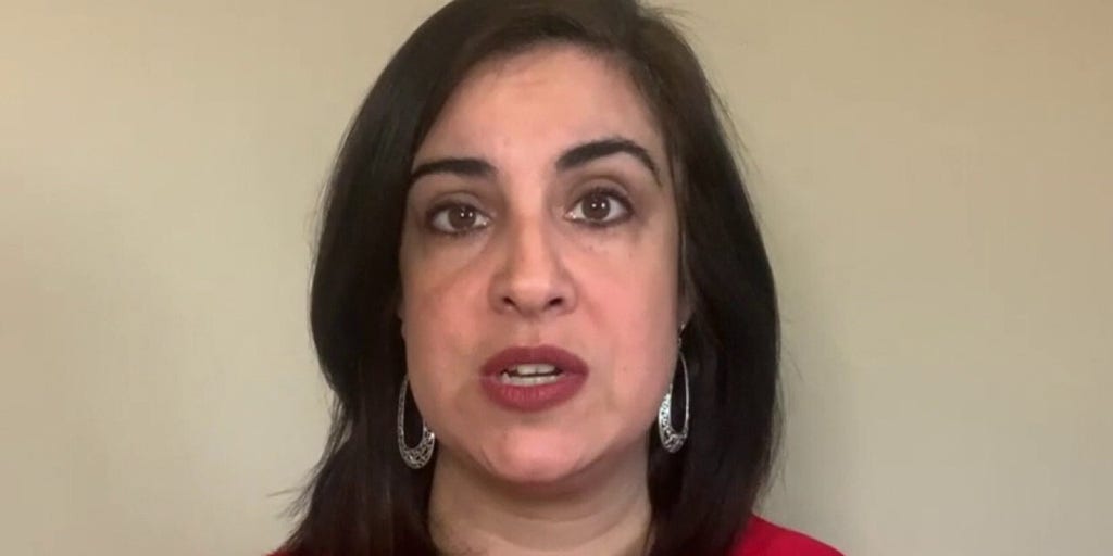 NY Rep. Malliotakis on the growing bipartisan calls to investigate ...