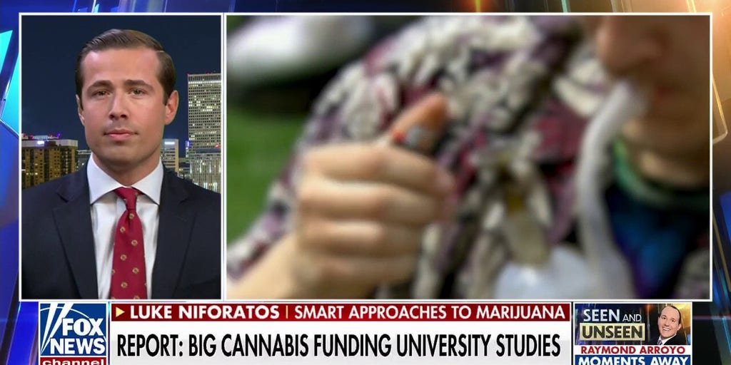 'Big cannabis' is pumping out fake research on the benefits of the drug ...