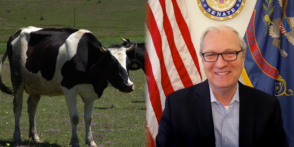 Exclusive Gop Senator Looks For Answers On High Beef Costs Amid