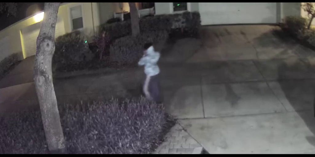 Florida teen accused of trying to abduct women caught on security ...