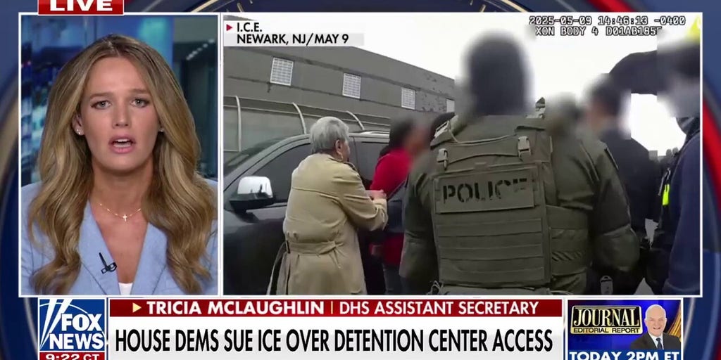 Tricia McLaughlin dismisses Dems' ICE lawsuit as 'political theatre ...