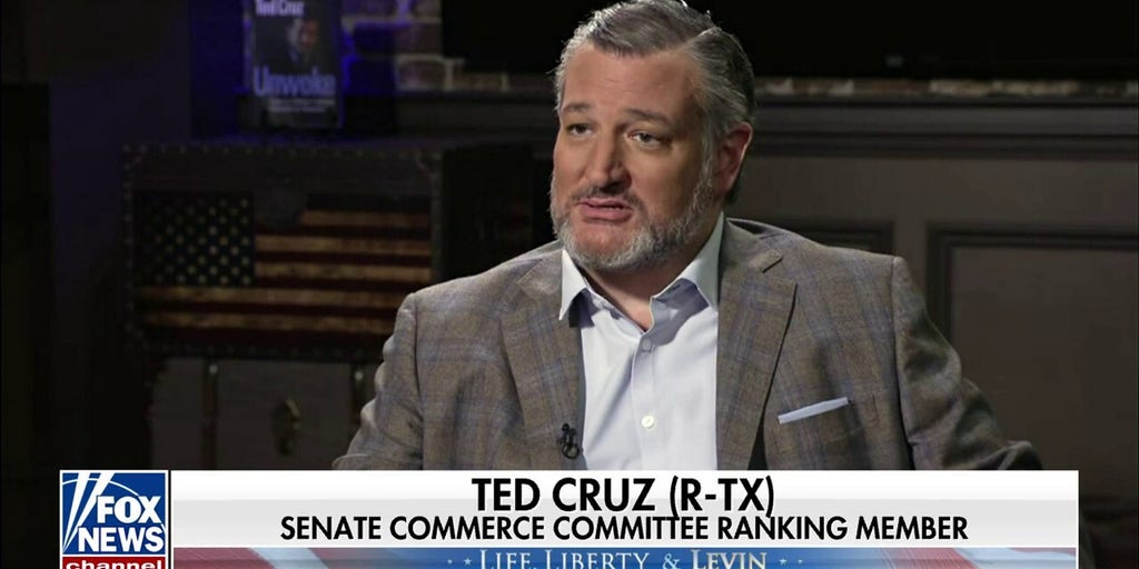 Ted Cruz on 2024 elections: 'We're going to face over $100 million ...