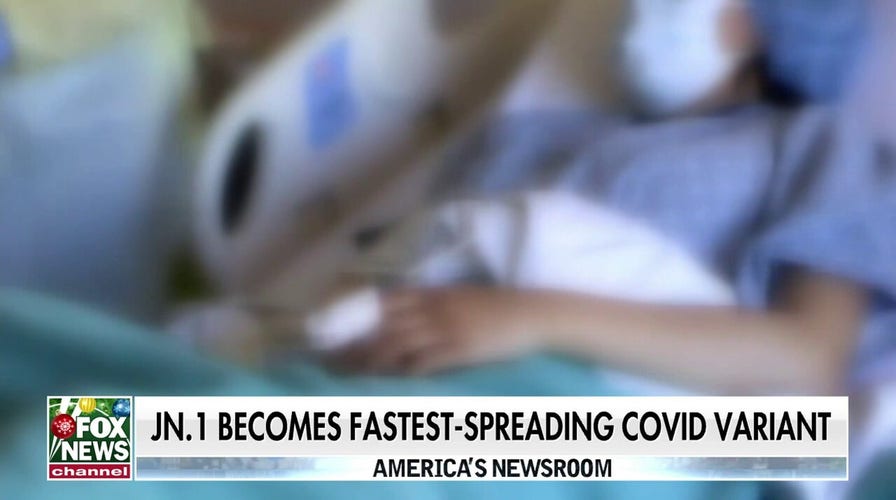 New COVID variant JN.1 now comprises up to 30% of US cases: CDC | Fox News New COVID variant JN.1 now comprises up to 30% of US cases: CDC | Fox News
