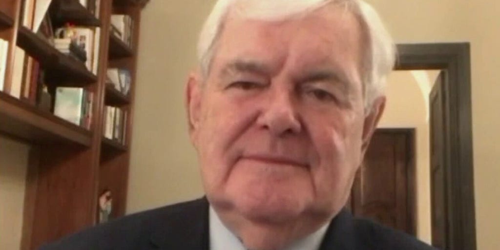 Gingrich: Georgia swing voters will turn against 'radical' Democrats ...