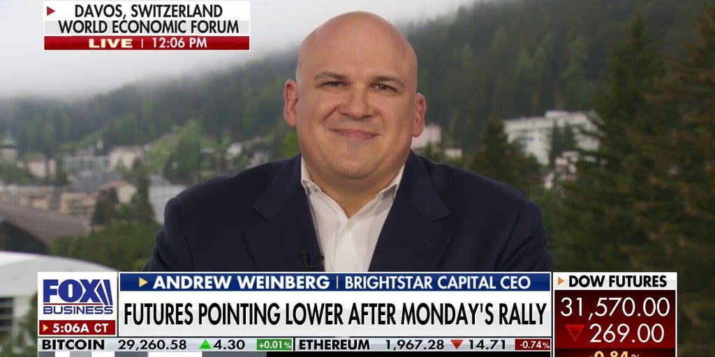 The market is 'resilient': Brightstar Capital CEO | Fox Business Video