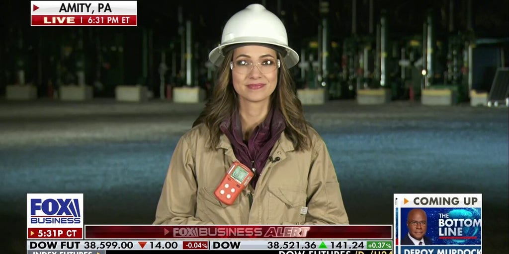 Pausing LNG exports is a self-inflicted and ‘completely avoidable ...