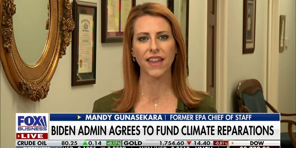 Climate reparations an attempt to bribe smaller countries: Mandy ...