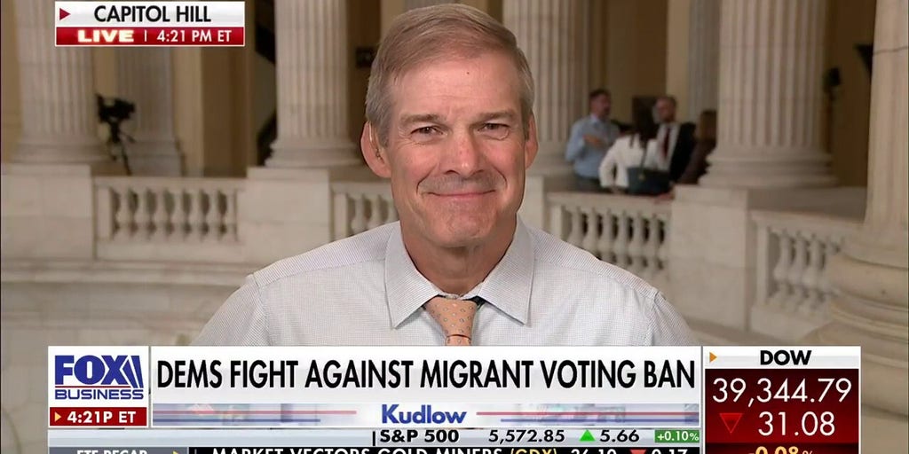 Dems don't want proof of citizenship when it's time to vote: Rep. Jim ...