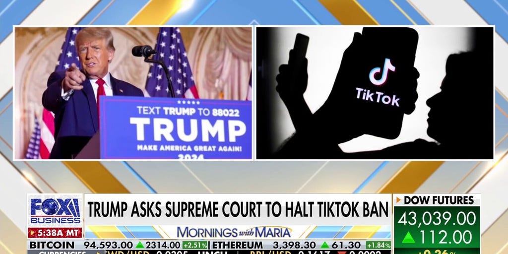 Trump urging TikTok ban halt, looks to focus on AI in second term | Fox ...