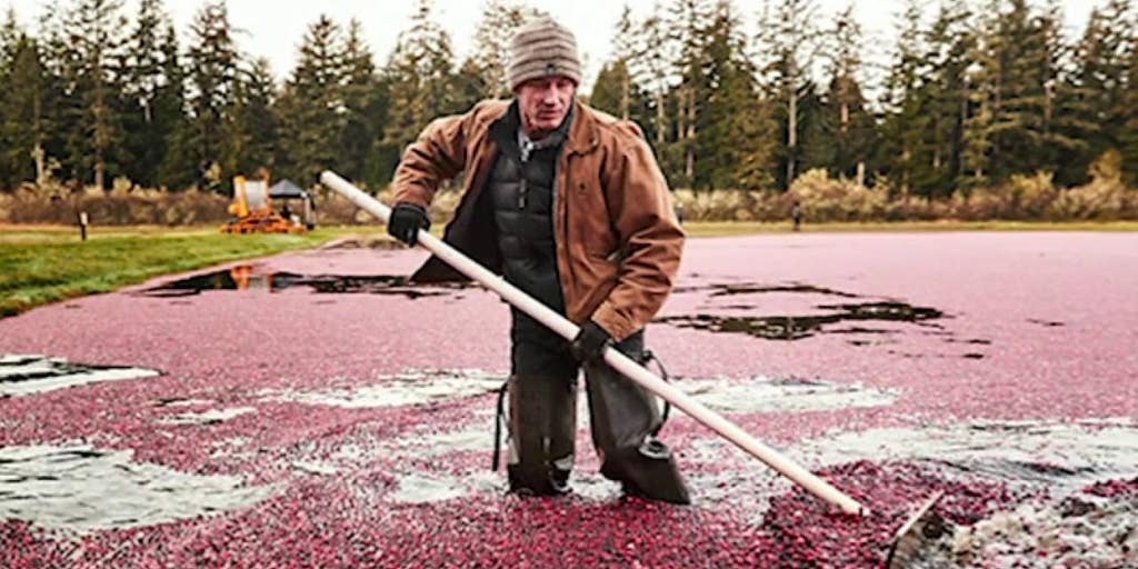 Ocean Spray responds to coronavirus, raises employee wages | Fox ...