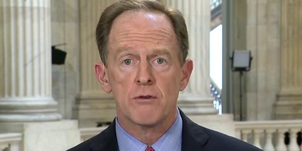 GOP lawmaker on why Raskin getting company master account status with ...