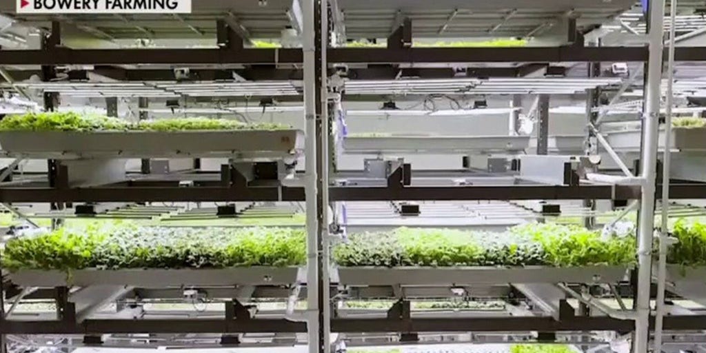 Why indoor farming is flourishing | Fox Business Video