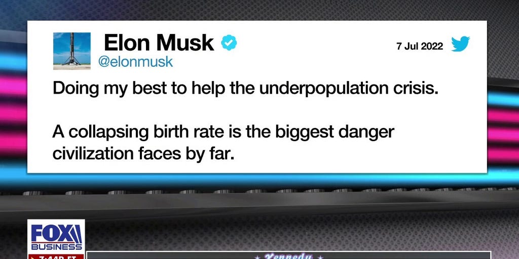'Doing my part': Elon Musk birth rate concerns resurface amid twins ...