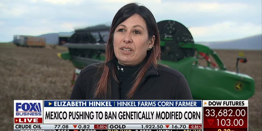 Mexico ban on genetically modified corn could 'corn-er' the US market ...