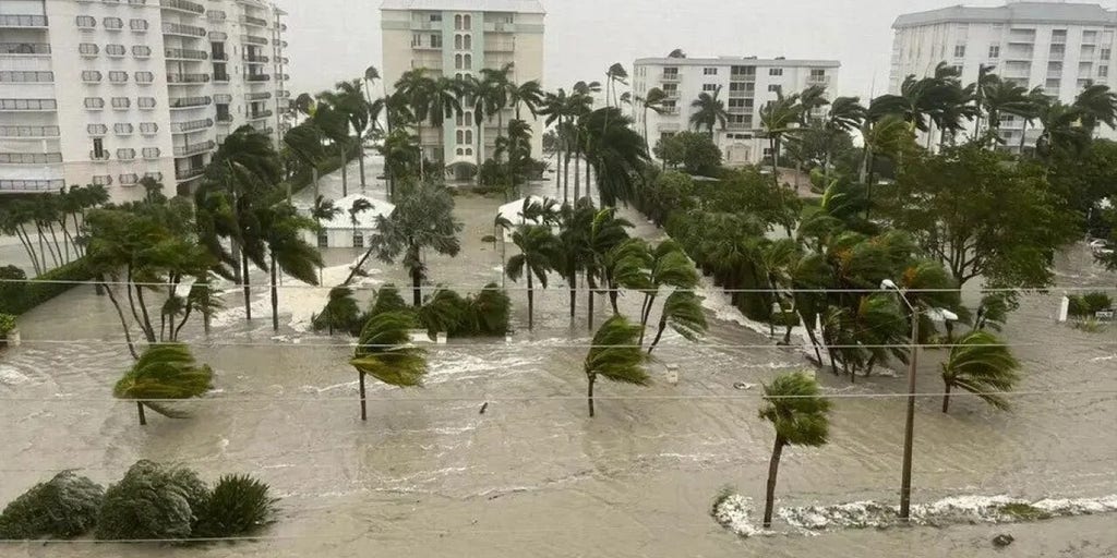 Wilton Simpson: Florida's agriculture industry is 'suffering' in ...