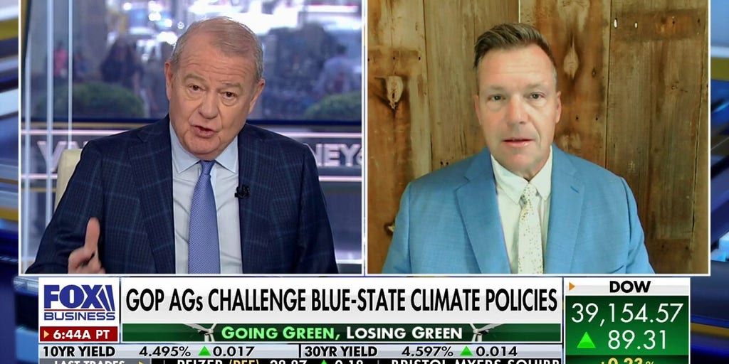 19 state AGs band together against blue states’ ‘unconstitutional ...