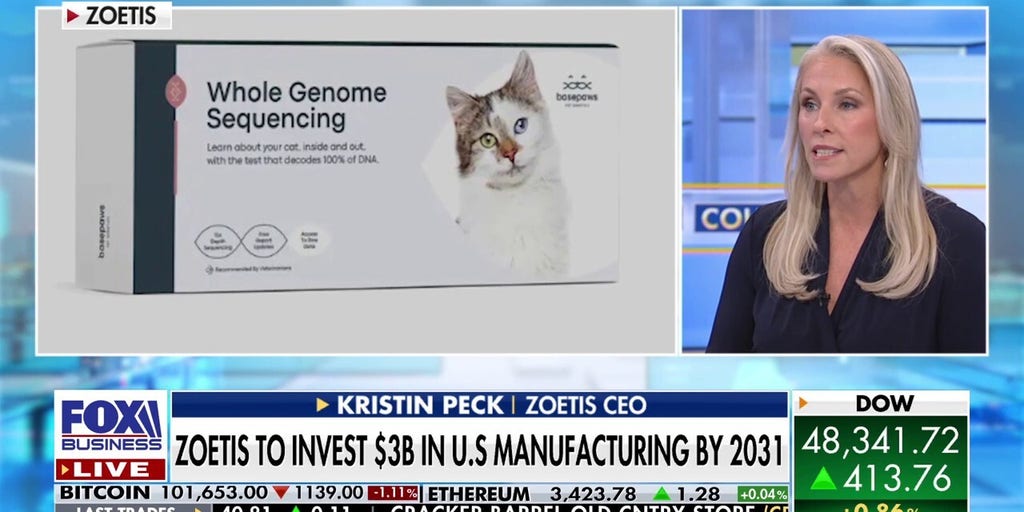 Zoetis has a 'robust portfolio' for growth ahead, says CEO | Fox ...