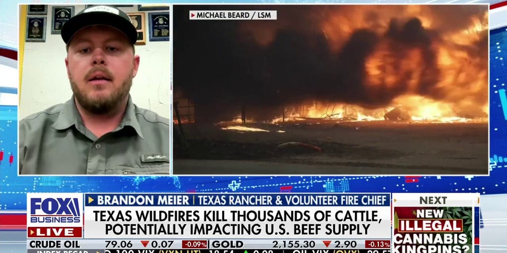 Hopefully this won’t have a ‘worldwide impact’ on the industry: Brandon ...